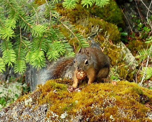 Meet The Neighbors – Quintessentially Quilly